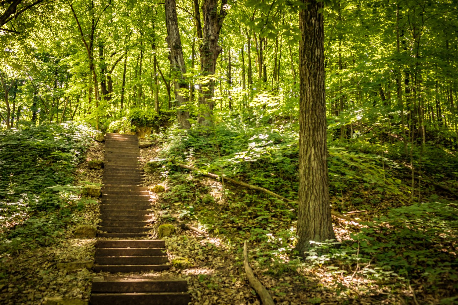 Discover Wisconsin Adventures for Everyone in Beloit