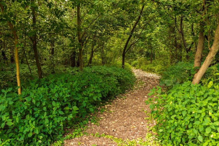 Nature at the Confluence: Explore Nature in Beloit