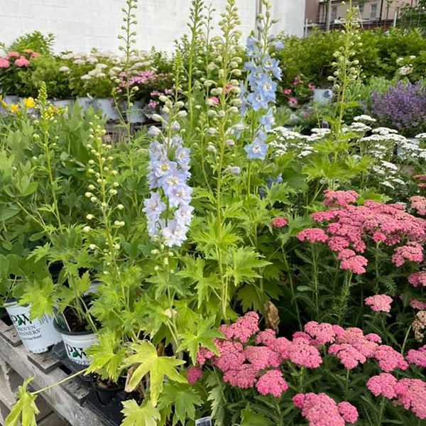 Rockton Garden Works in Beloit WI